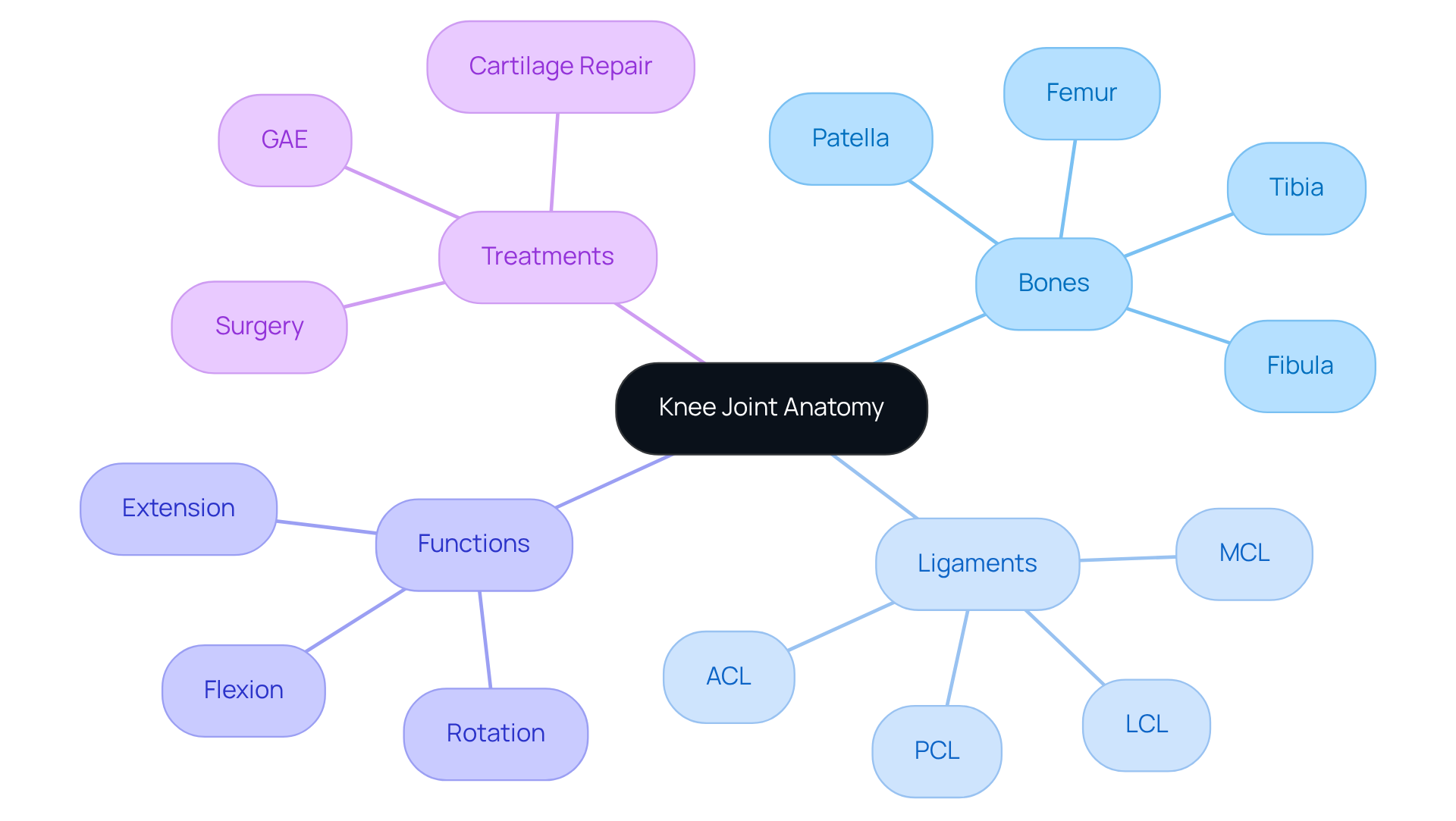 This mindmap starts with the knee joint at the center and branches out to show the key components: the bones that make up the joint, the ligaments that stabilize it, its functions, and the treatments available for injuries. Each branch helps you see how these elements are related, making it easier to understand the complexity of knee joint anatomy. This mindmap starts with the knee joint at the center and branches out to show the key components: the bones that make up the joint, the ligaments that stabilize it, its functions, and the treatments available for injuries. Each branch helps you see how these elements are related, making it easier to understand the complexity of knee joint anatomy.