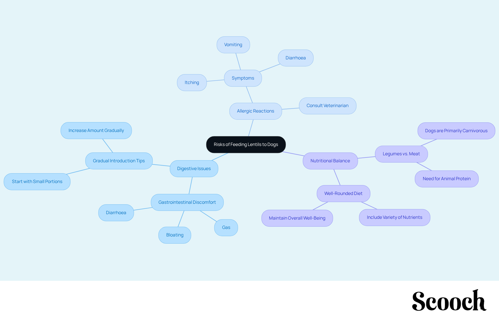 The center represents the main query about lentils in a dog's diet. Each branch provides important considerations, with symptoms and tips branching off from the main topics.