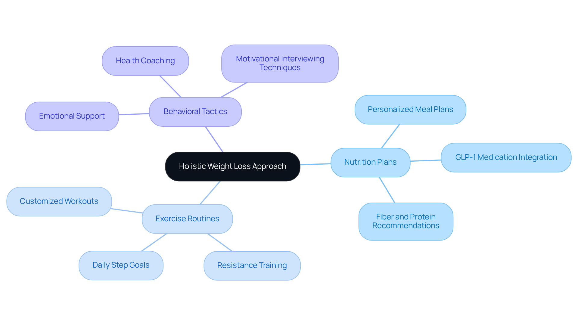 Start at the center with the holistic approach, then explore each branch to see the specific strategies and how they work together to support your weight loss journey.