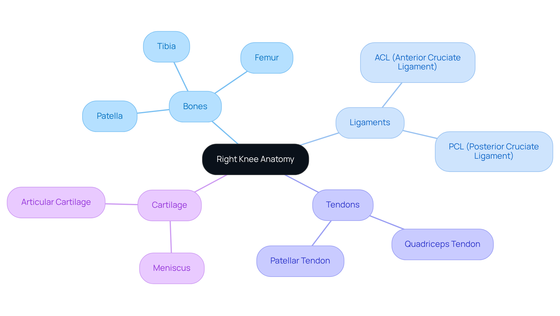 This mindmap illustrates the key components of the right knee anatomy. Start at the center with the main topic, then explore each branch to learn about the bones, ligaments, tendons, and cartilage that make up the knee joint. Each part plays a vital role in how the knee functions and supports movement.