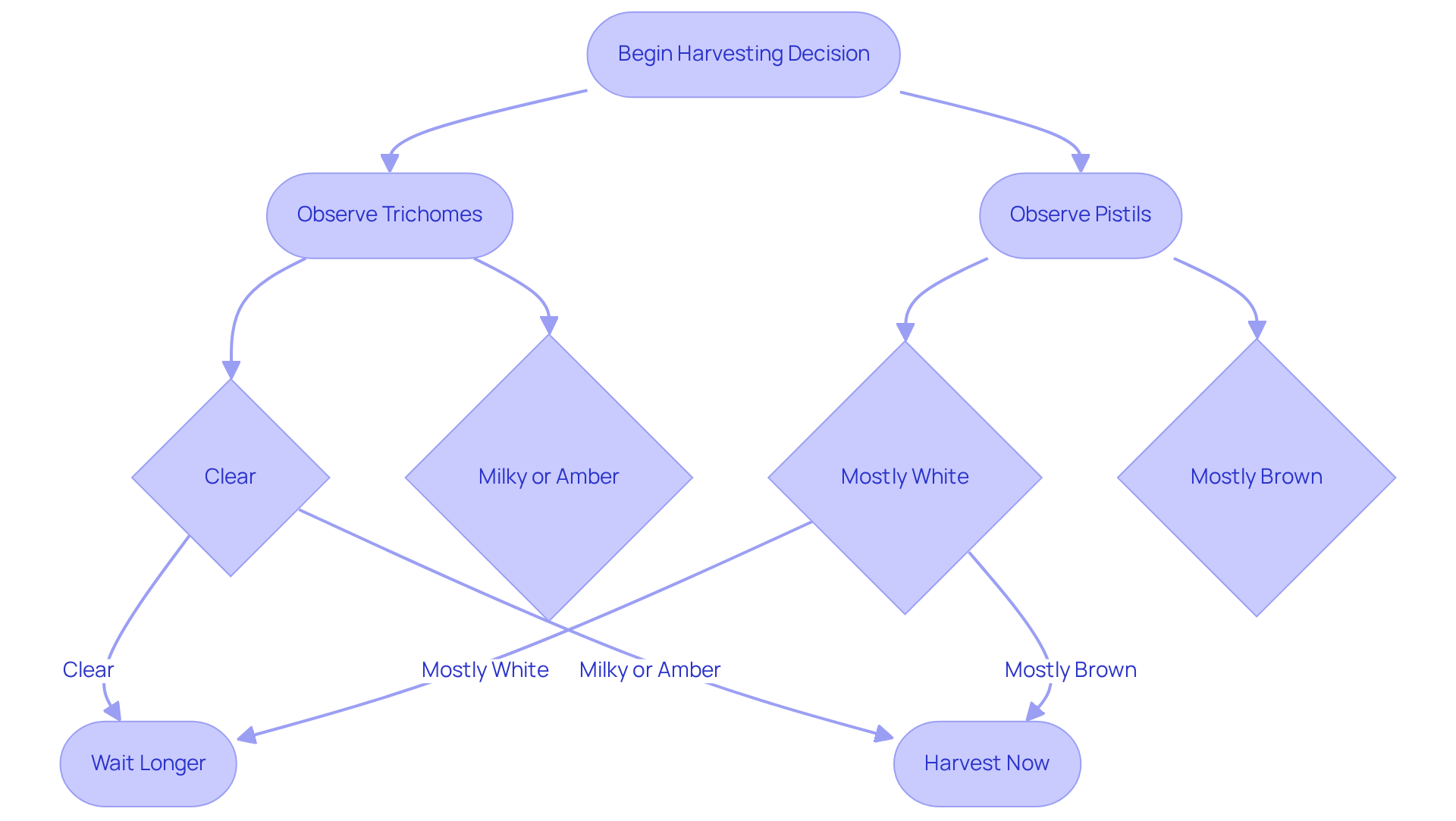 This flowchart guides you through the steps of deciding when to harvest cannabis. Follow the paths based on what you see in the trichomes and pistils to determine if you should wait or go ahead and harvest. This flowchart guides you through the steps of deciding when to harvest cannabis. Follow the paths based on what you see in the trichomes and pistils to determine if you should wait or go ahead and harvest.