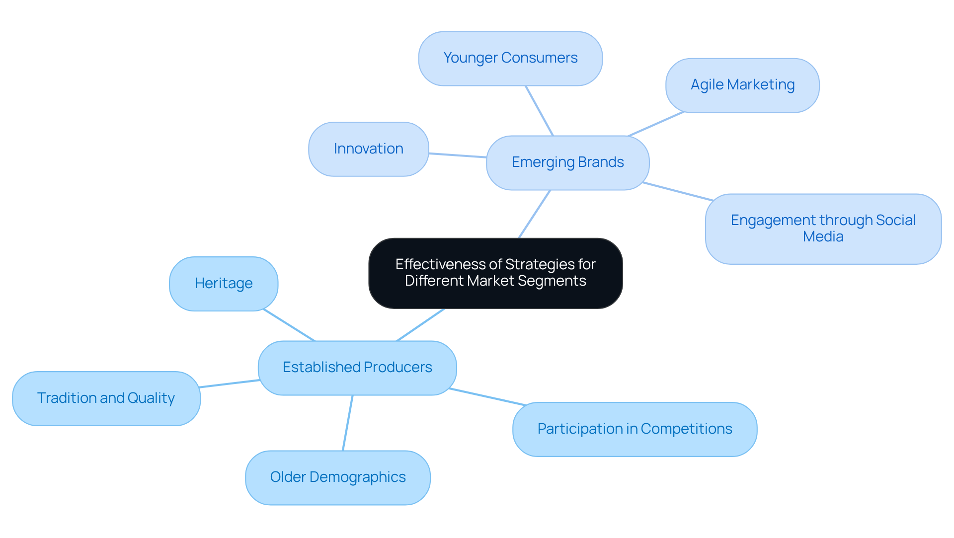 The central node represents the overall topic, while the branches show the two main approaches. Each sub-branch details the specific strategies and target markets, making it easy to compare and understand the effectiveness of each strategy.