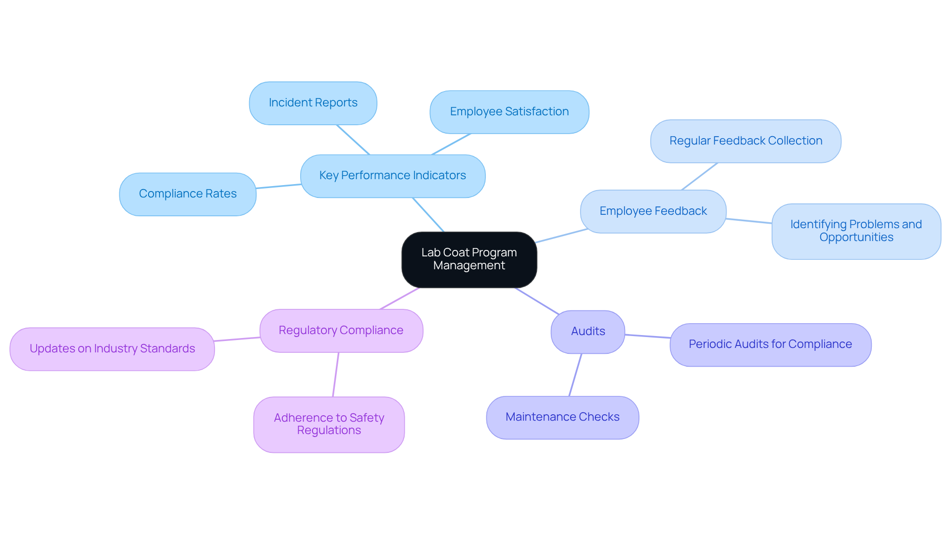 The center represents the lab coat program, with branches showing the key areas of focus. Each KPI and consideration is a step towards ensuring the program's success and alignment with sustainability and ethical practices.