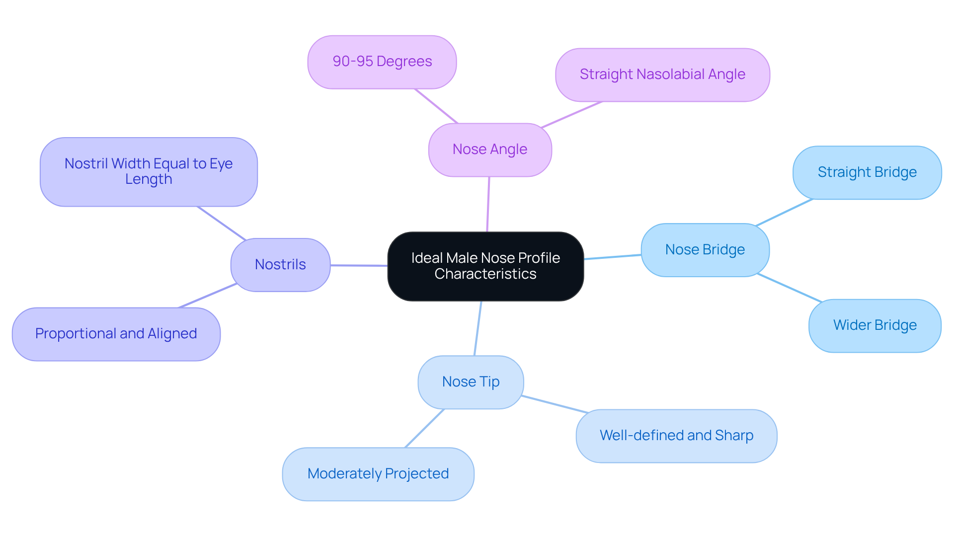 This mindmap illustrates the key features that define an ideal male nose profile. Each branch represents a different characteristic, and the sub-branches provide more details about what makes each feature desirable. This mindmap illustrates the key features that define an ideal male nose profile. Each branch represents a different characteristic, and the sub-branches provide more details about what makes each feature desirable.