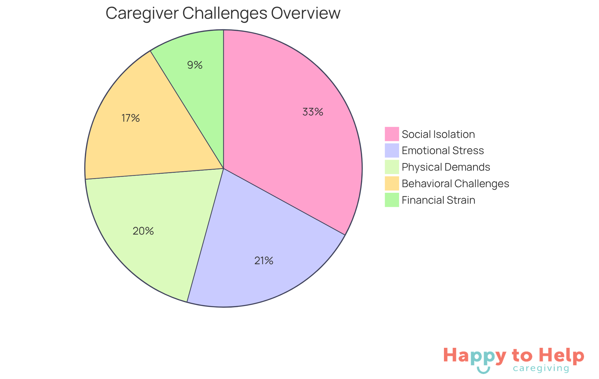 Each slice of the pie represents a different challenge caregivers encounter. The size of each slice shows how significant that challenge is compared to the others - the larger the slice, the more prevalent the issue.