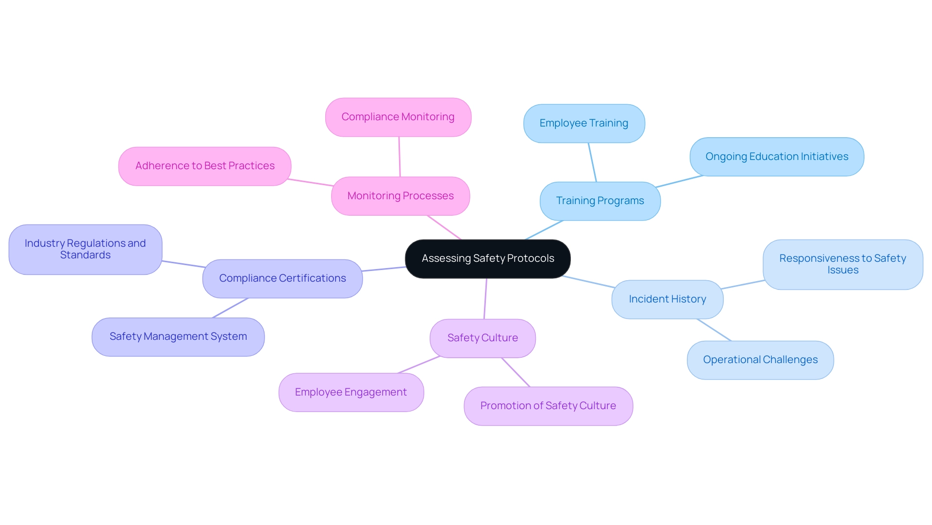 Each branch represents a key assessment area, with sub-branches detailing specific criteria related to safety protocols and compliance standards.