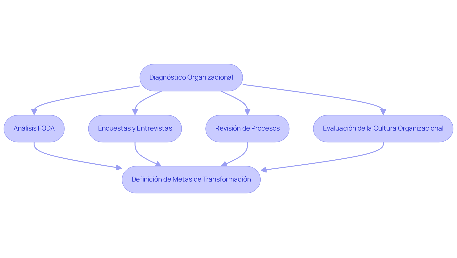 Cada cuadro representa un paso en el diagnóstico de tu organización. Sigue las flechas para ver cómo cada etapa se conecta y contribuye a entender mejor la situación actual y preparar la transformación.