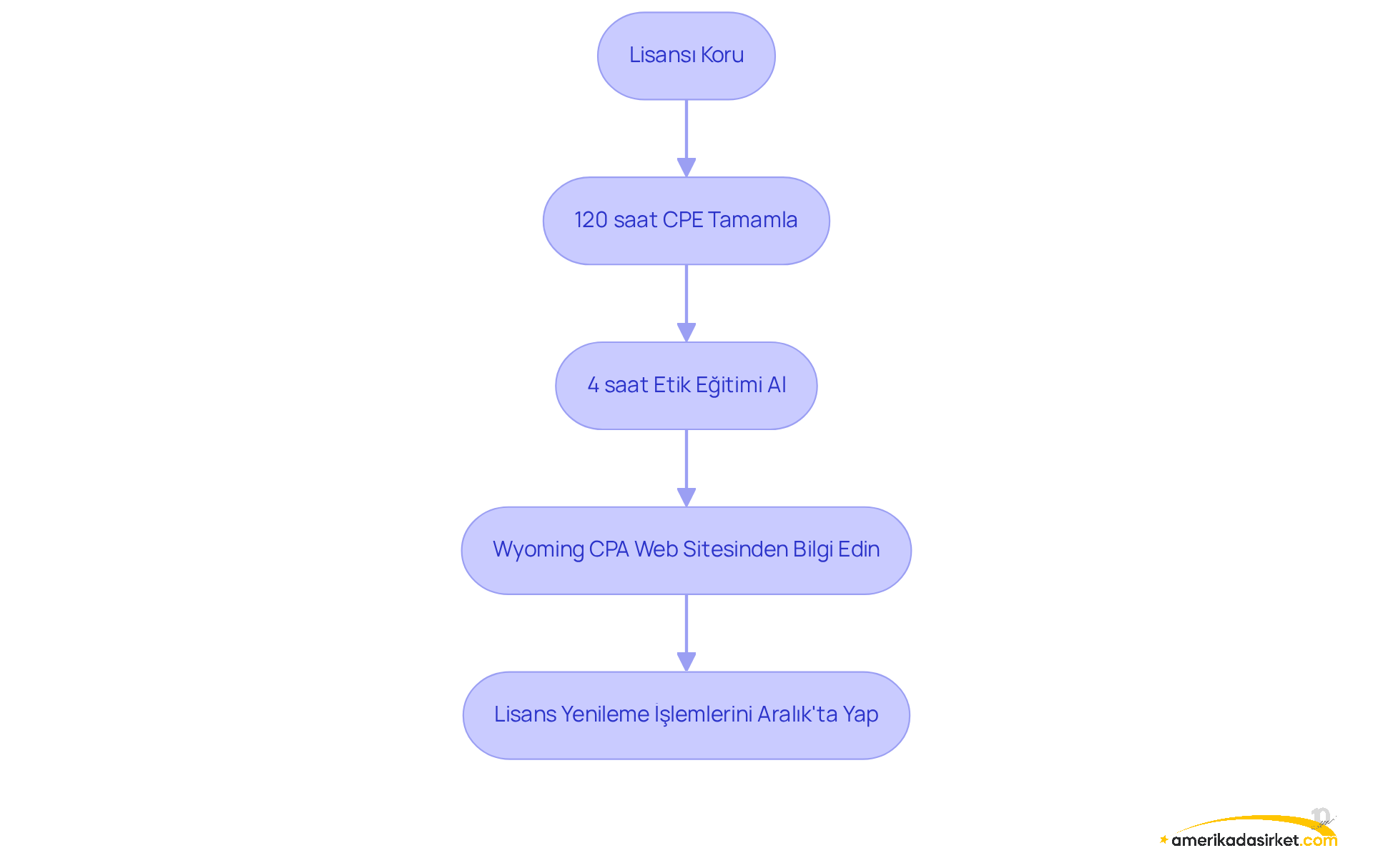 Her kutu, lisansınızı korumak için atmanız gereken bir adımı temsil ediyor. Oklar, adımların nasıl birbirine bağlı olduğunu gösteriyor. Süreç boyunca hangi adımları takip etmeniz gerektiğini kolayca görebilirsiniz.