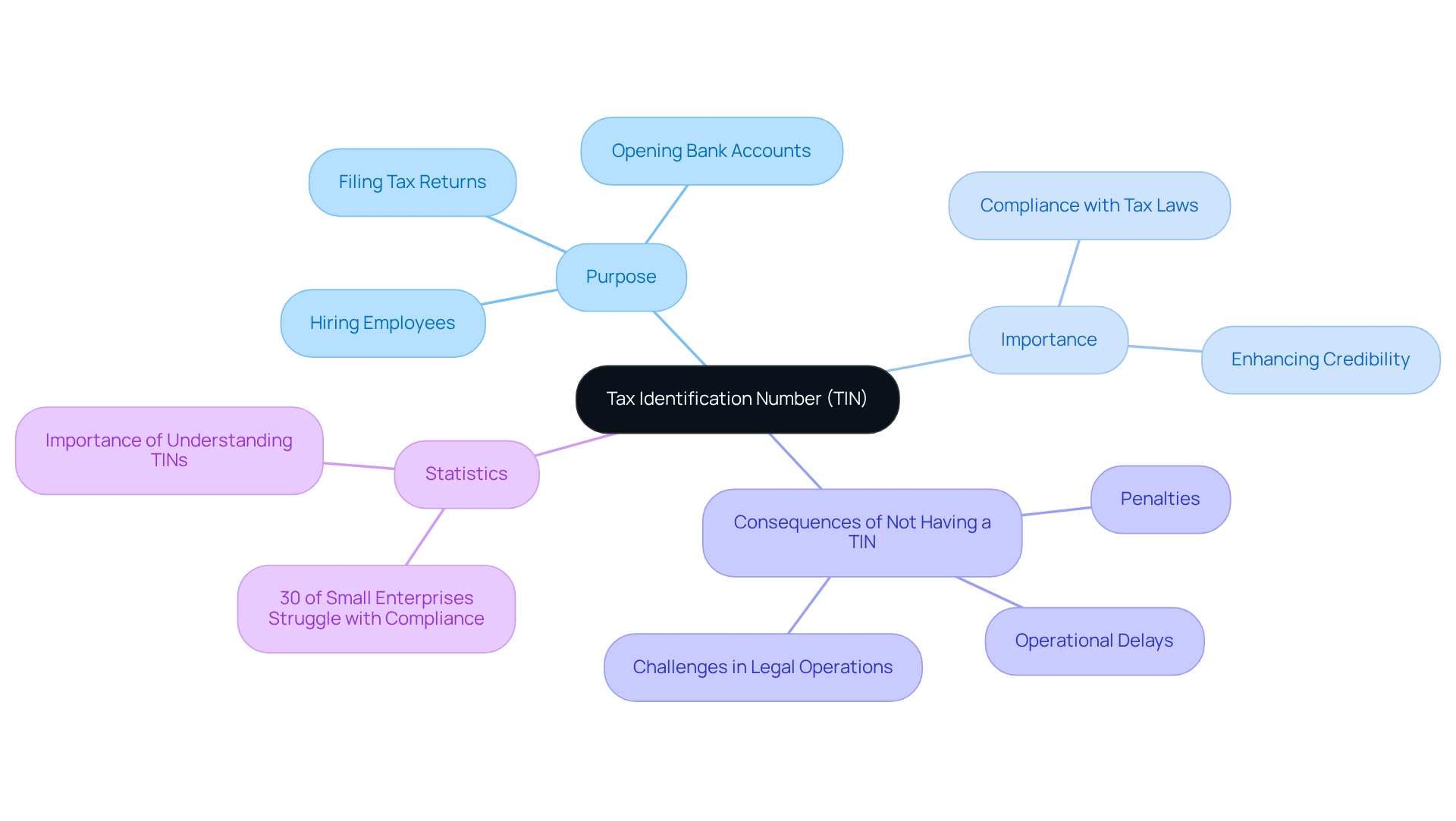 The center represents the Tax Identification Number, and the branches show its various purposes and importance. Each color-coded branch helps you see how the TIN impacts different aspects of business operations. The center represents the Tax Identification Number, and the branches show its various purposes and importance. Each color-coded branch helps you see how the TIN impacts different aspects of business operations.