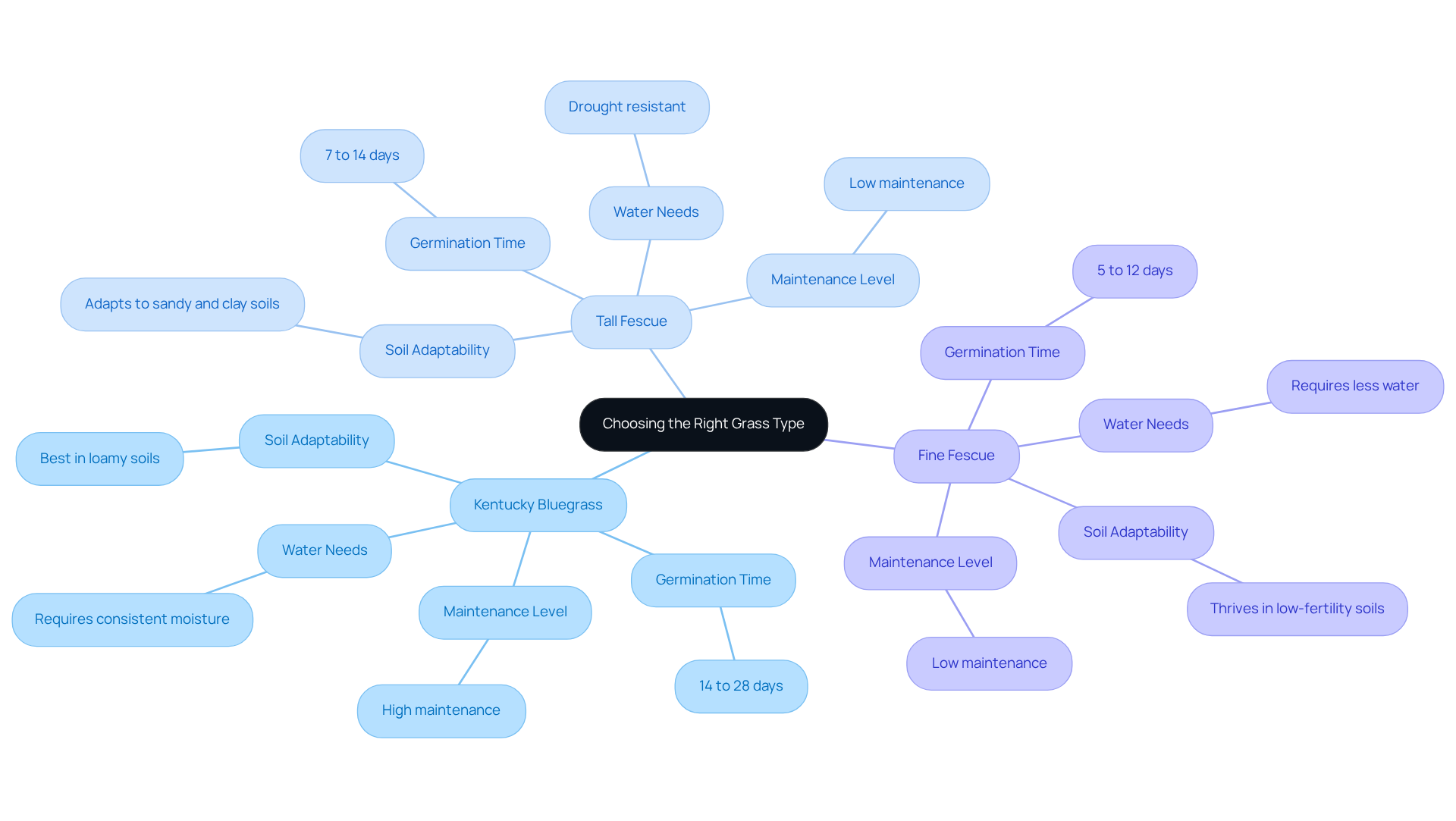 The central node represents the main topic of grass selection. Each branch shows a different grass type, with further details about its specific traits and requirements. This helps you understand which grass might be best for your lawn based on your yard's conditions.