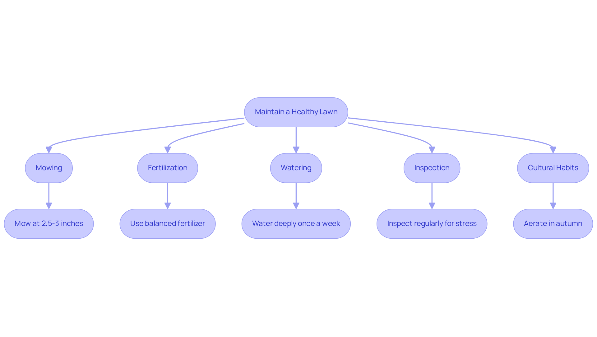 Follow the arrows to see the steps you can take to keep your lawn healthy. Each box represents a key practice, and the details inside will guide you on how to implement it effectively.