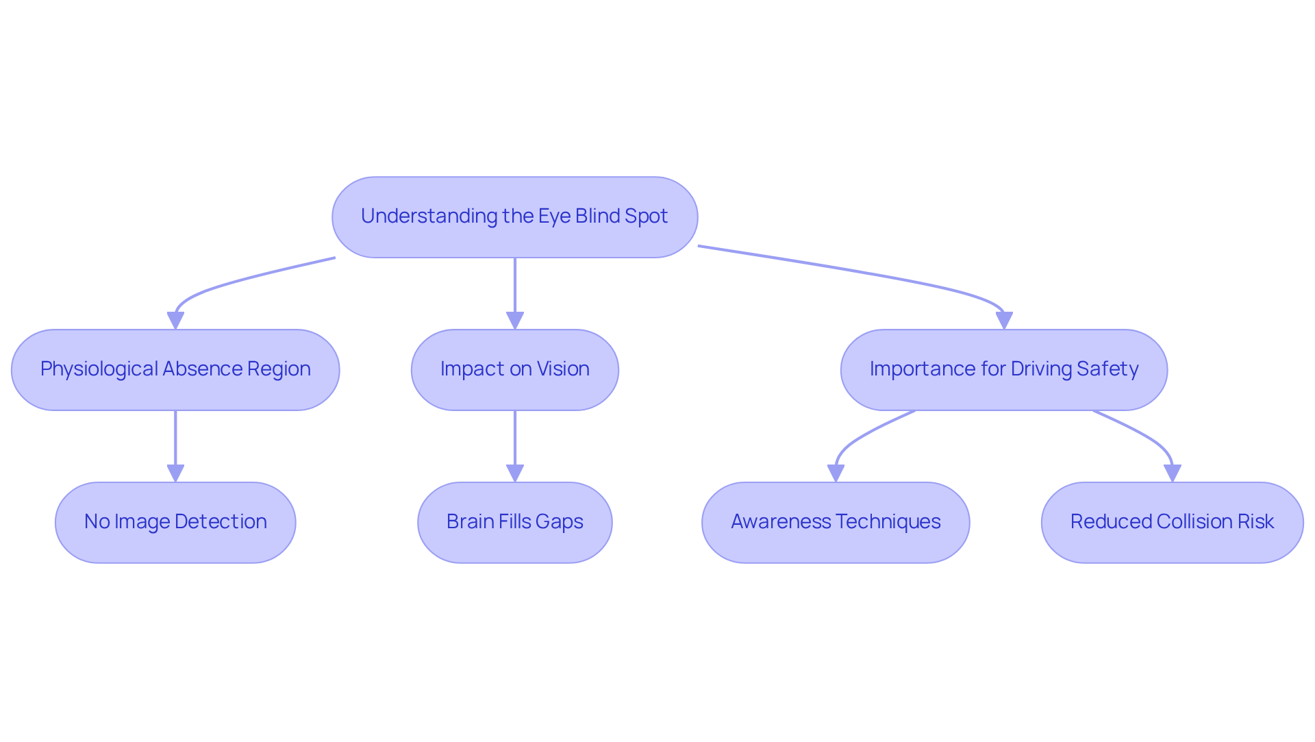 This flowchart illustrates how understanding the eye blind spot can lead to better awareness and safety while driving. Each step shows how knowledge of the blind spot connects to actions that can reduce risks on the road.
