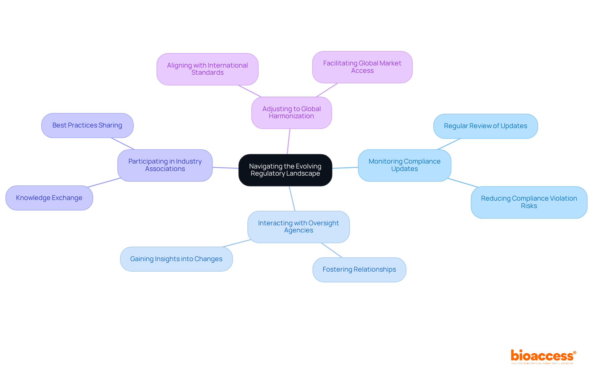 The center represents the main theme of regulatory navigation, with branches showing specific strategies that organizations should consider. Each strategy can be further explored through its sub-points, highlighting key actions and considerations.
