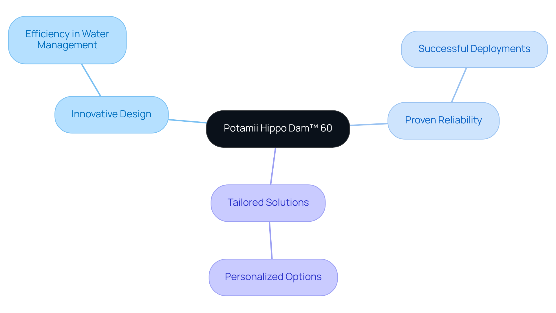 The center represents the Potamii Hippo Dam™ 60, and each branch shows a key competitive advantage. Explore each branch to understand how the dam stands out in the market.