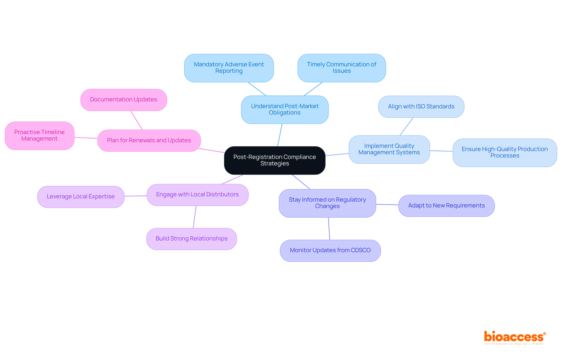 The central node represents the main focus on compliance strategies, while each branch highlights a key strategy. Follow the branches to explore specific actions that support compliance and market access.