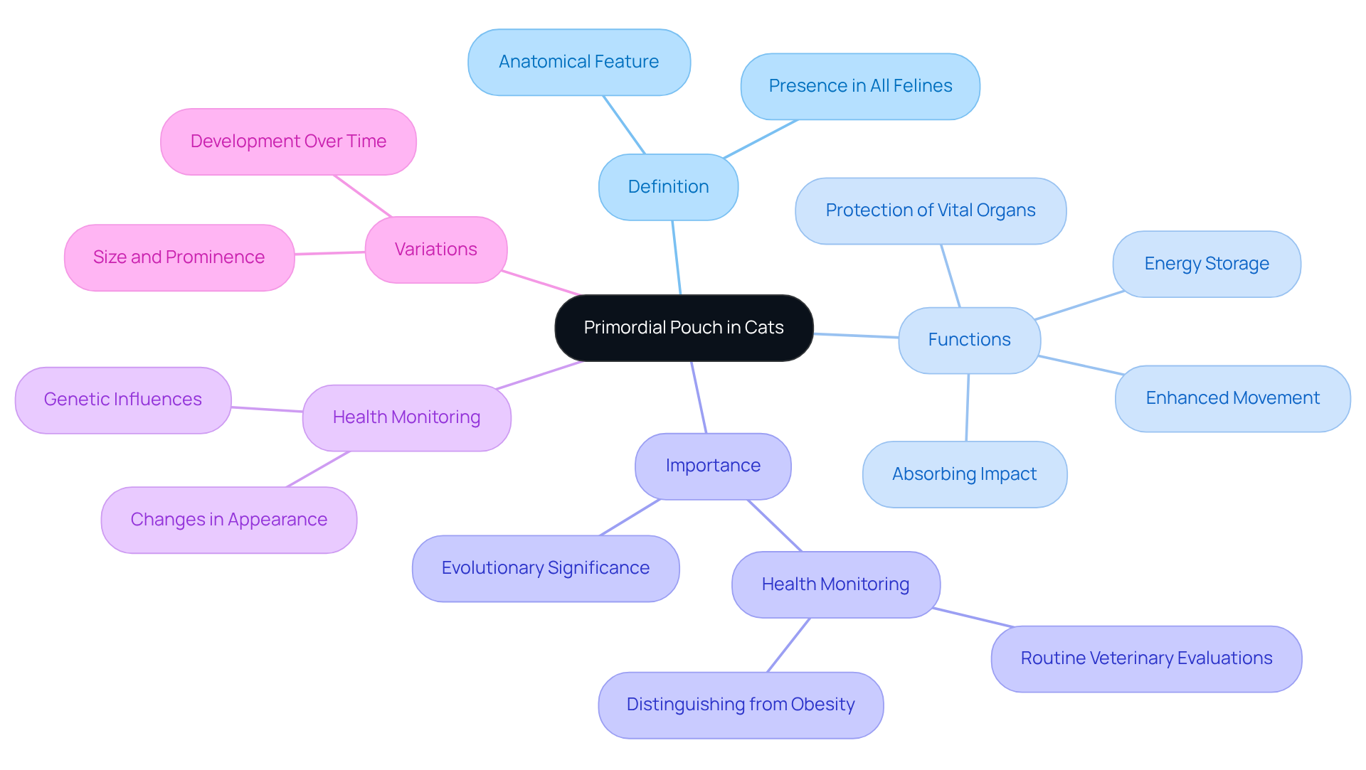 Understanding the Primordial Pouch Cat: Definition and Purpose | Jet ...