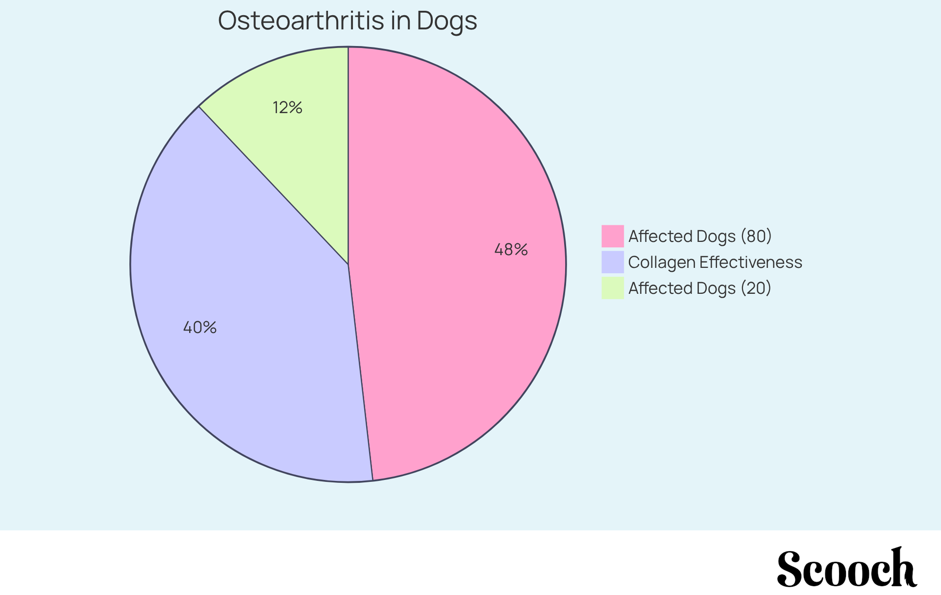 The chart shows how many dogs are affected by osteoarthritis and how effective collagen is in reducing their discomfort. Each slice represents a different statistic: the larger the slice, the more dogs are impacted or helped.