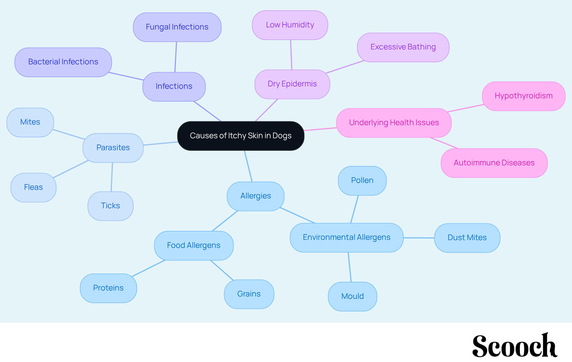 The central node represents the overall topic, while the branches show different causes of itchy skin. Each color-coded branch helps you quickly identify the main categories and their specific details, making it easier to understand how they relate to your dog's health.