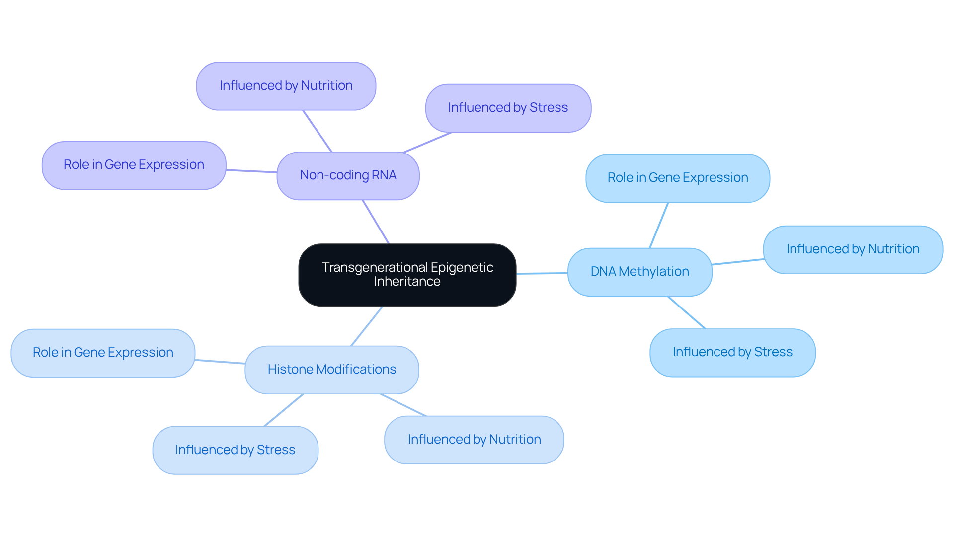The central idea is transgenerational epigenetic inheritance, with branches showing the key mechanisms involved. Each mechanism has its own sub-branches explaining how they work and what influences them, helping you understand the complex relationships at play. The central idea is transgenerational epigenetic inheritance, with branches showing the key mechanisms involved. Each mechanism has its own sub-branches explaining how they work and what influences them, helping you understand the complex relationships at play.