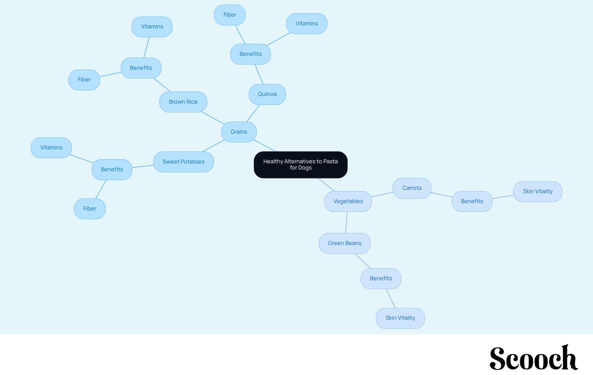 The central idea is about providing better food choices for dogs instead of pasta. Each branch shows specific alternatives and the benefits they bring to your dog's health.