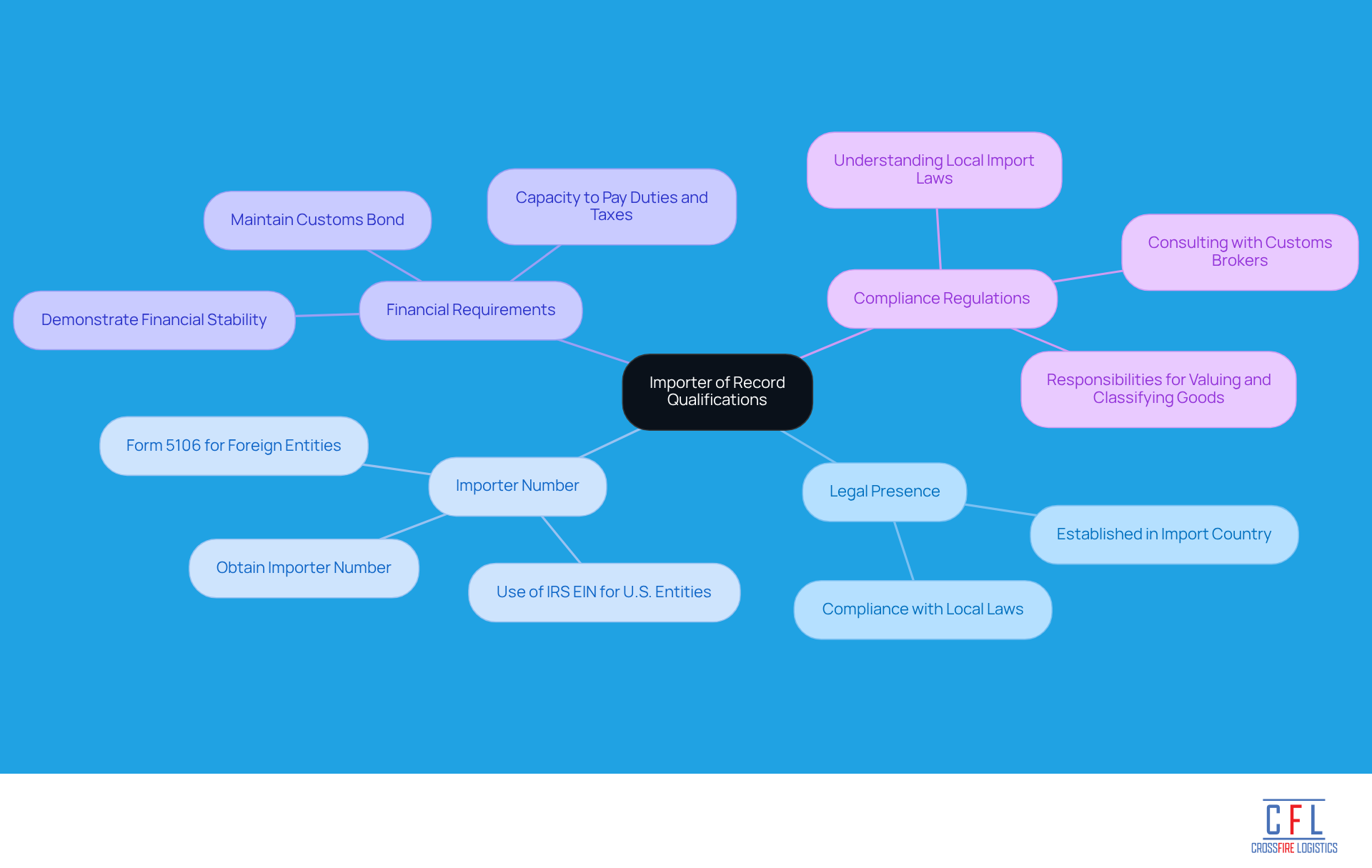 The center represents the main role of Importer of Record, while the branches show the key qualifications needed. Each qualification has its own color-coded section, making it easy to follow and understand.