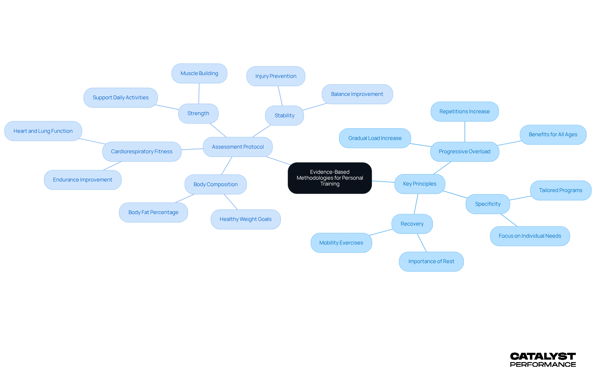 The central idea is about using scientific methods in personal training. Each branch represents a key principle or assessment area that contributes to effective training and overall health. Follow the branches to see how these concepts connect and support your wellness journey. The central idea is about using scientific methods in personal training. Each branch represents a key principle or assessment area that contributes to effective training and overall health. Follow the branches to see how these concepts connect and support your wellness journey.