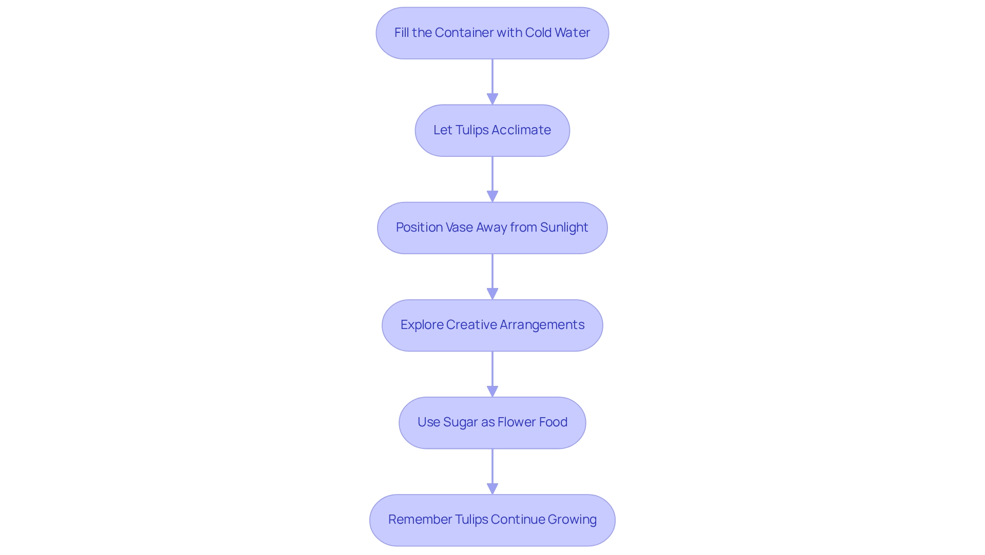 Each box in the flowchart represents a step to care for your tulips. Follow the arrows to see how to properly prepare and display your tulips for the best results!