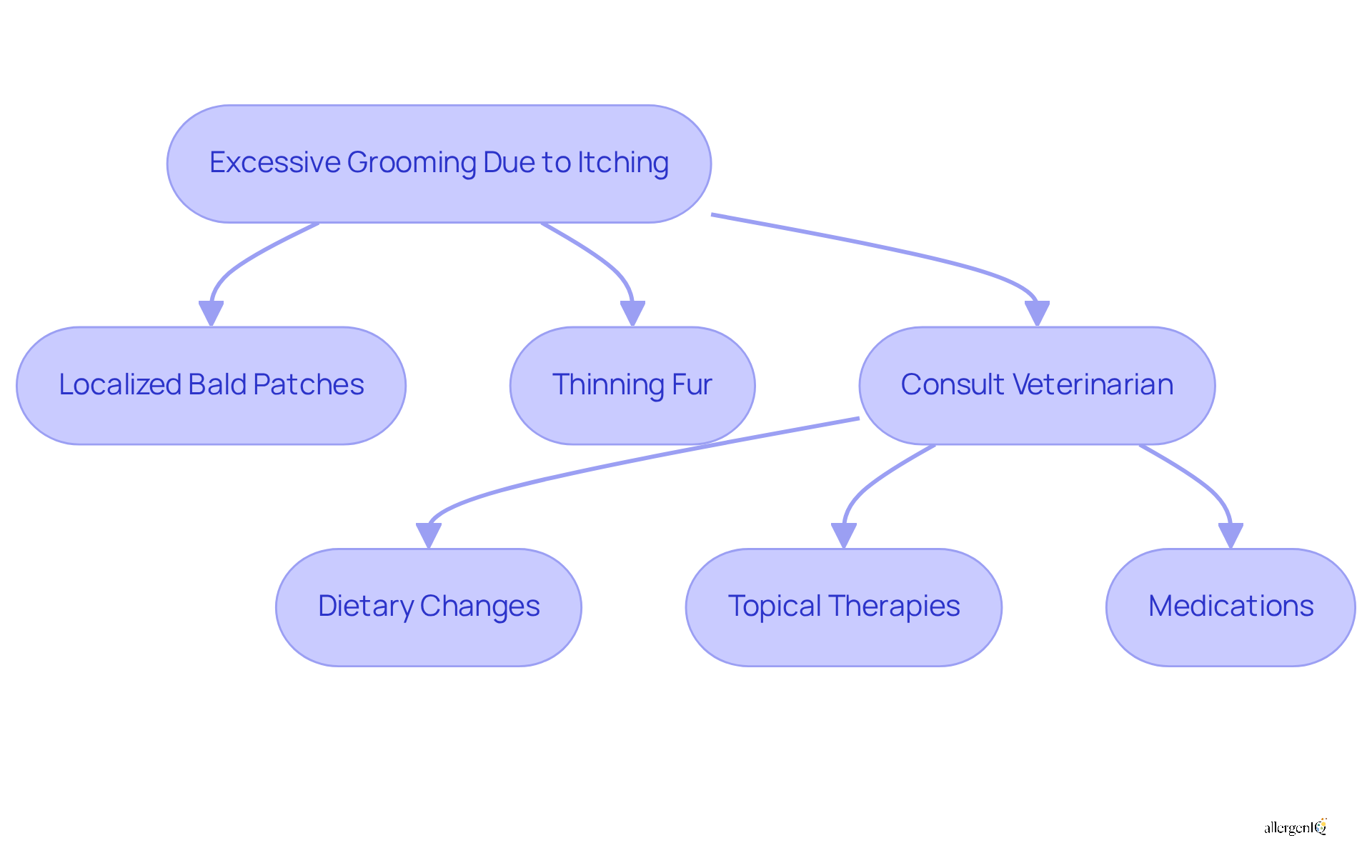 This flowchart shows how excessive grooming due to itching can lead to hair loss in cats. Follow the arrows to see the symptoms and the recommended treatments to help your cat feel better.