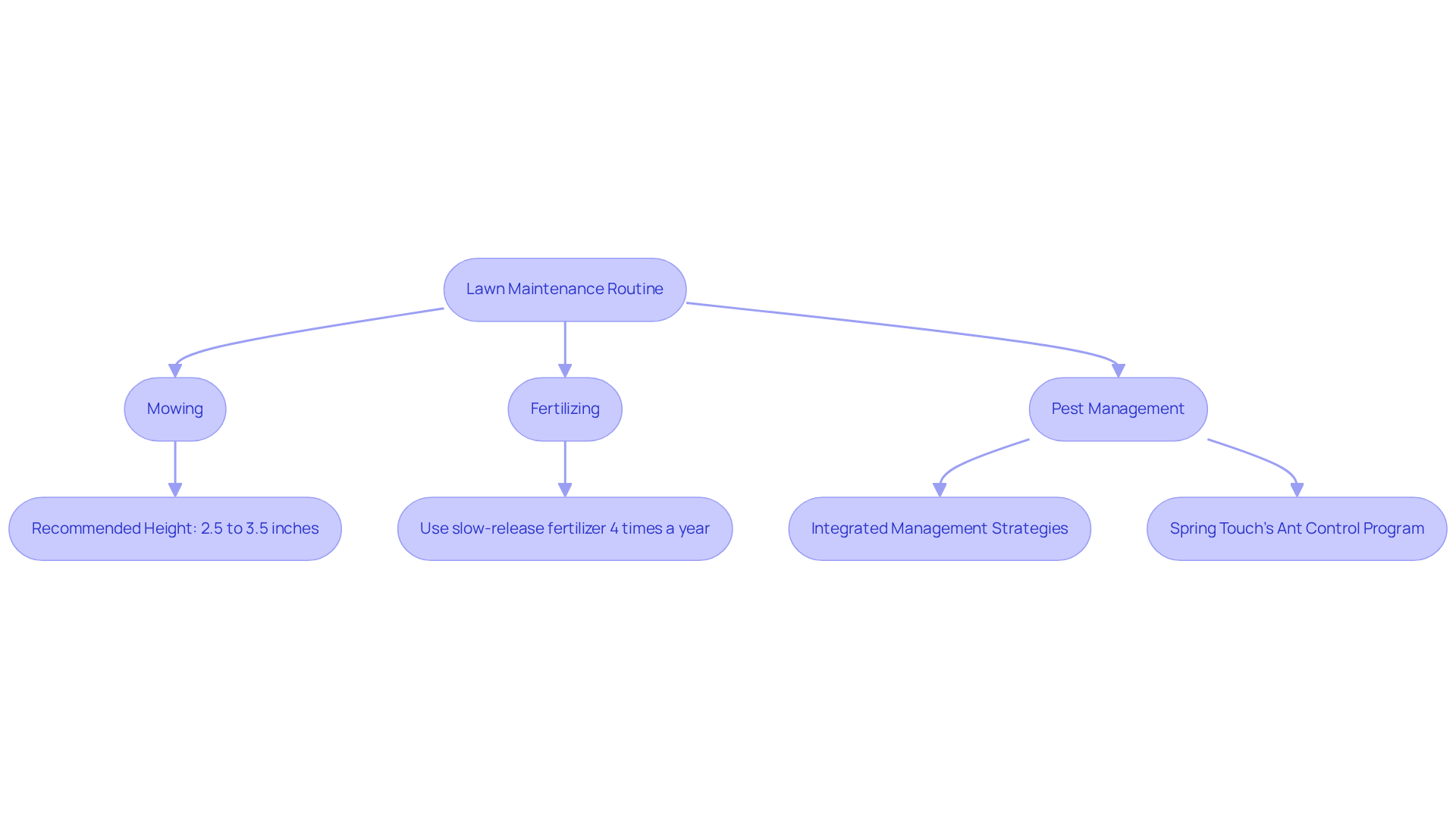 Follow the arrows to see the steps you need to take for a healthy lawn. Each task is important for keeping your yard beautiful and pest-free! Follow the arrows to see the steps you need to take for a healthy lawn. Each task is important for keeping your yard beautiful and pest-free!