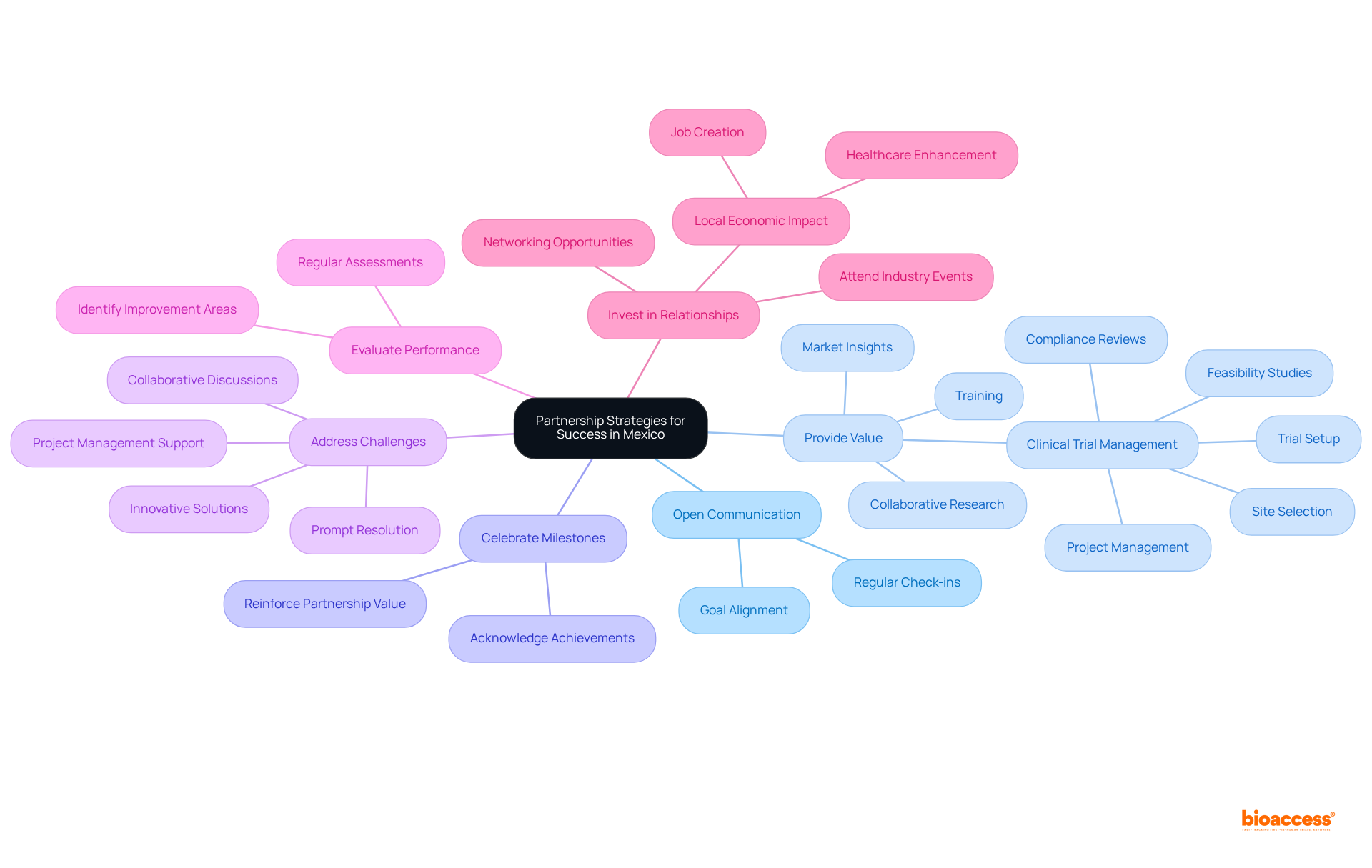 The central node represents the main focus on partnerships, while the branches illustrate each strategy. Sub-points under the branches provide additional detail on how to implement these strategies effectively.