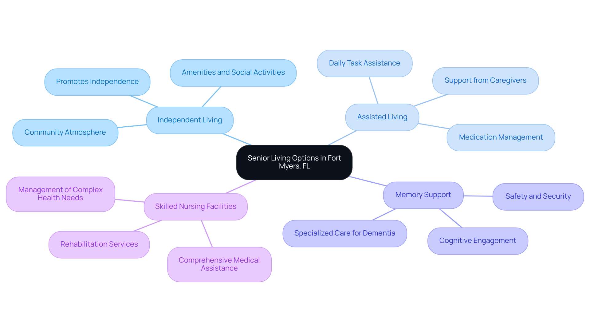 The central node represents all senior living options, while the branches show different types of facilities. Each sub-branch describes specific features of those options, helping families understand the choices available for their loved ones.