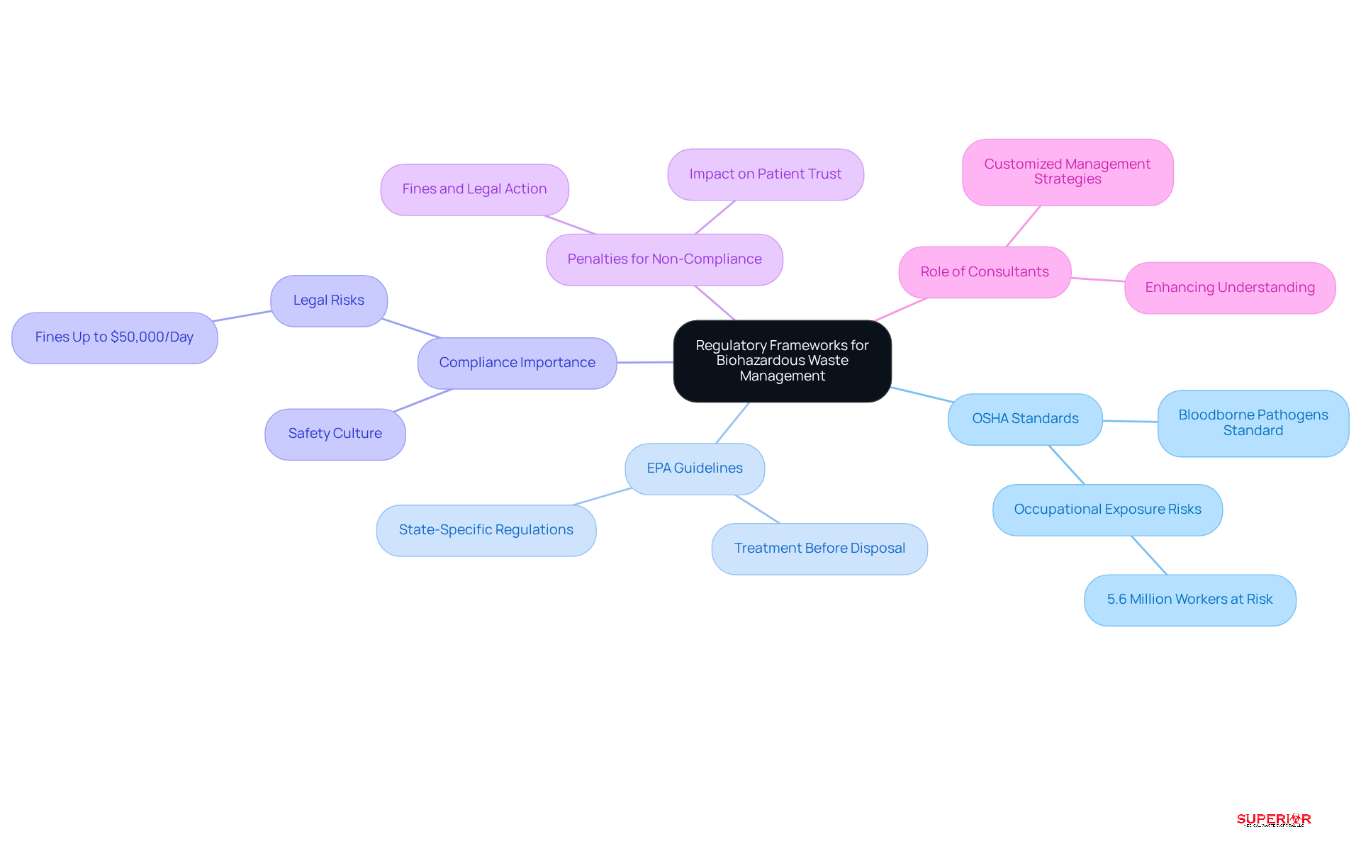 The central node represents the main topic, while branches show different aspects of the regulatory framework. Each sub-branch provides more detail, helping you understand how these regulations interconnect and their importance in healthcare settings.