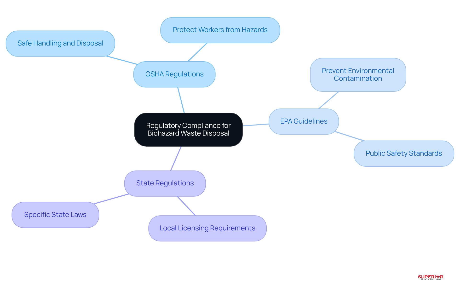 The center shows the main topic, and the branches represent different regulations. Each branch explains what that regulation focuses on, helping you understand the requirements for safe biohazard waste disposal.
