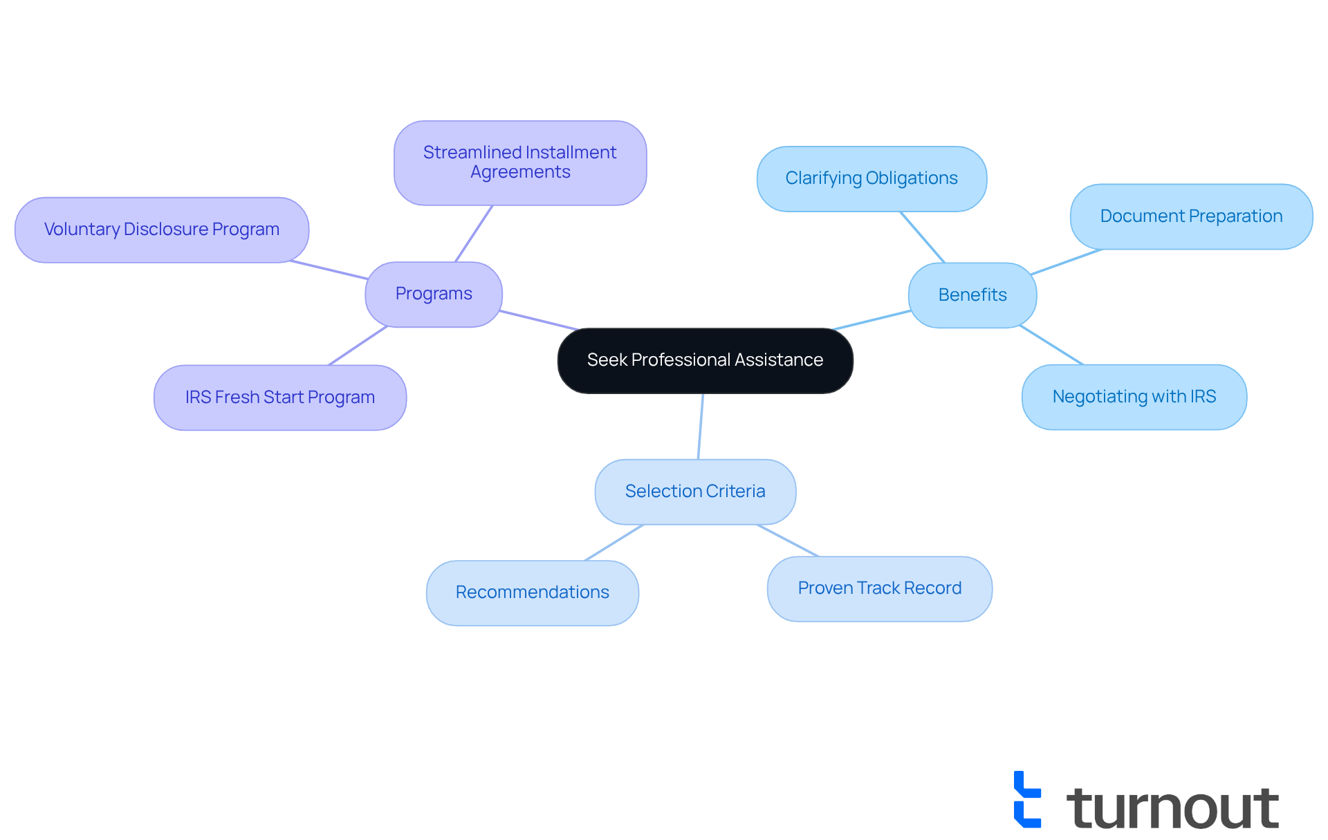 At the center is the idea of seeking professional help with taxes, and the branches show the benefits and important considerations. Each branch helps you understand how professionals can make this process easier.