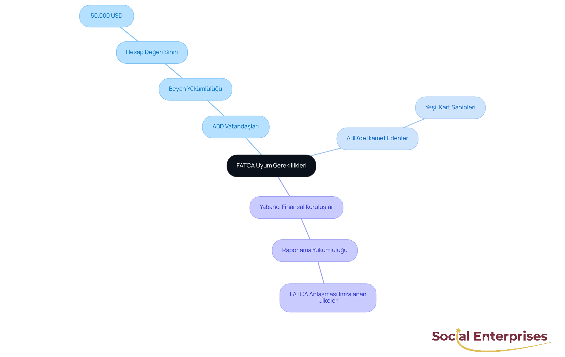 Orta noktada FATCA uyum gereklilikleri yazıyor, dallar ise bu gerekliliklere tabi olan grupları gösteriyor. Her dalda o grup için önemli bilgiler ve yükümlülükler yer alıyor.