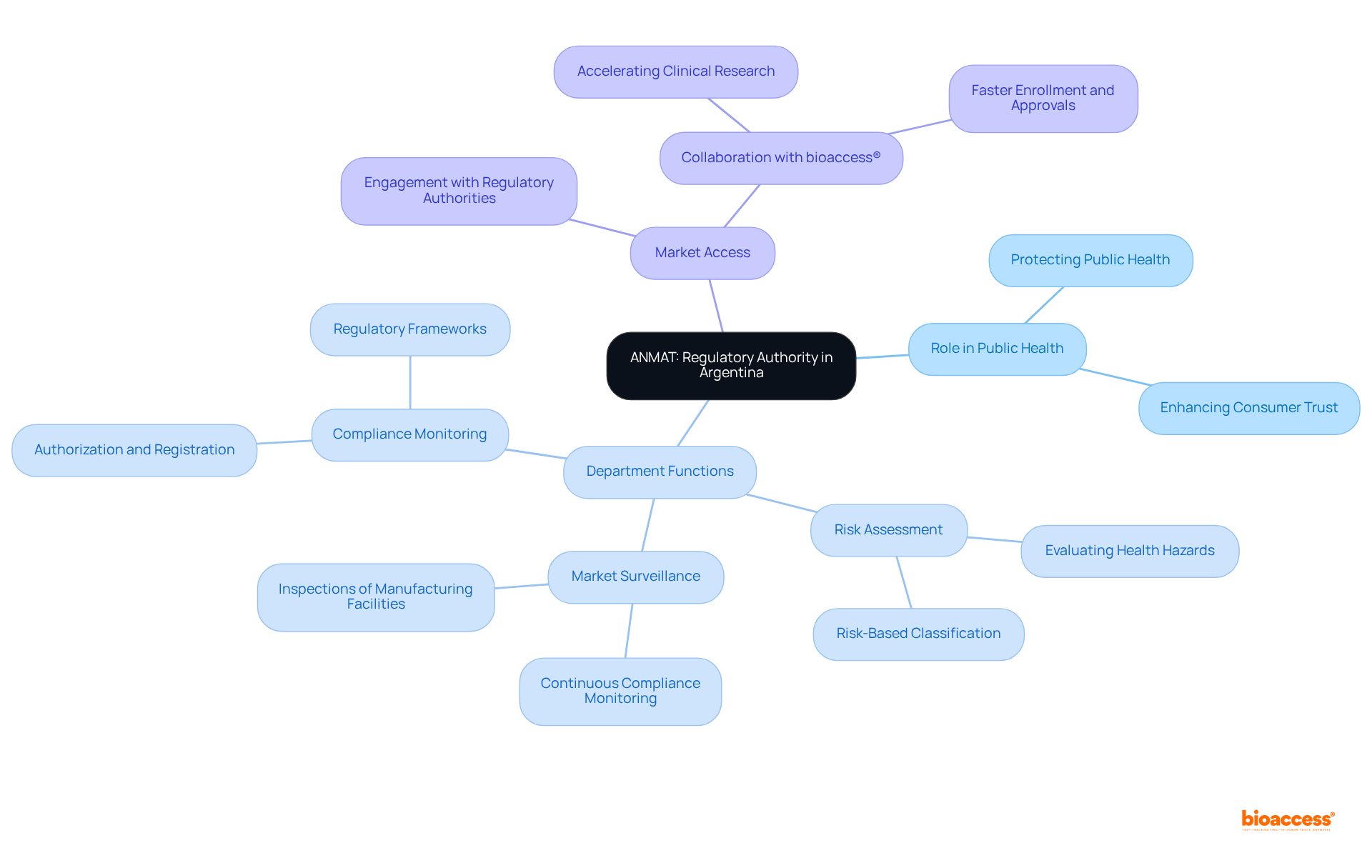 The central node represents ANMAT, the regulatory authority. Branches illustrate its role in public health and detail the functions of its departments. Each function is a vital part of ensuring safe and effective healthcare in Argentina.