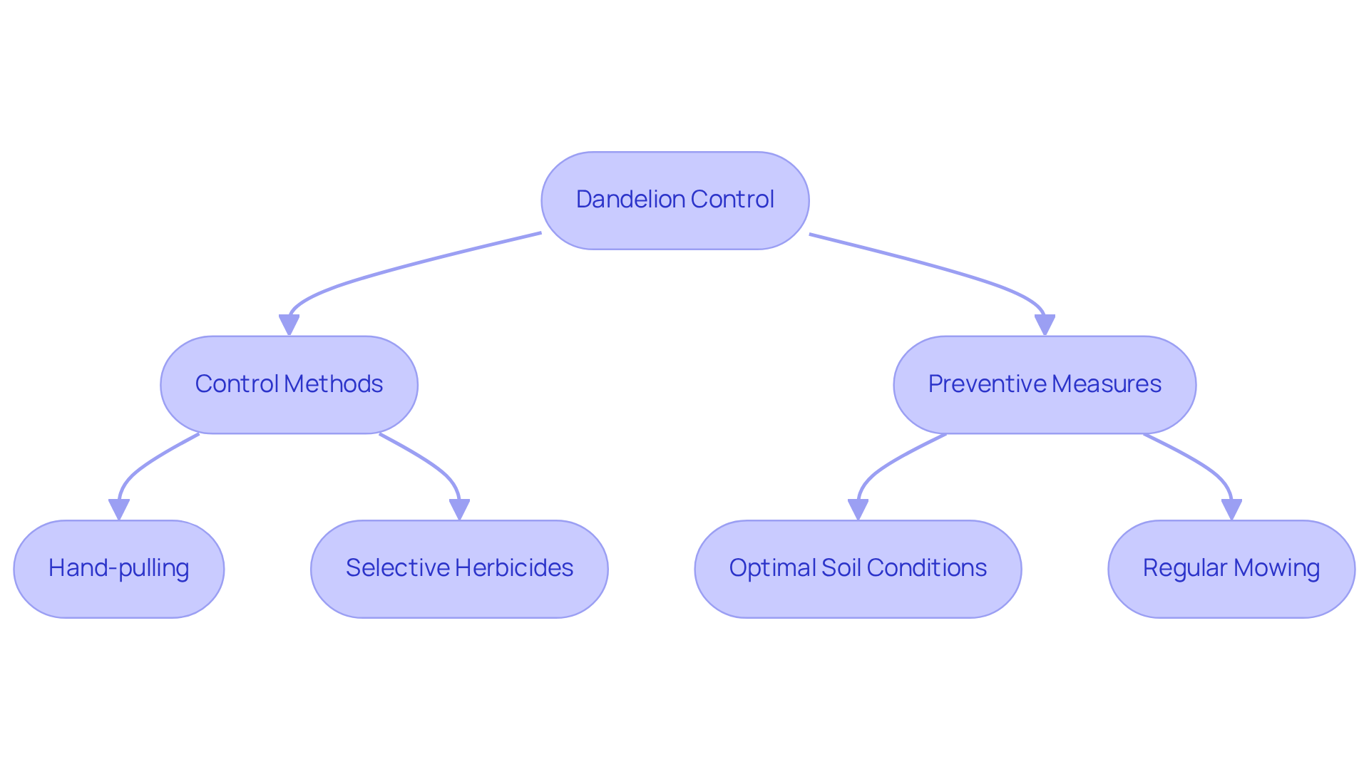 This flowchart outlines how to manage dandelions in your garden. Start with the main control strategies, then follow the arrows to see specific methods and preventive actions you can take to protect your plants. This flowchart outlines how to manage dandelions in your garden. Start with the main control strategies, then follow the arrows to see specific methods and preventive actions you can take to protect your plants.
