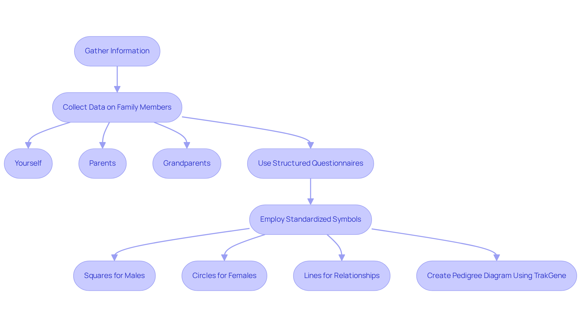 Follow the arrows to see each step in the process of creating your pedigree chart, from gathering family information to using symbols and software tools.
