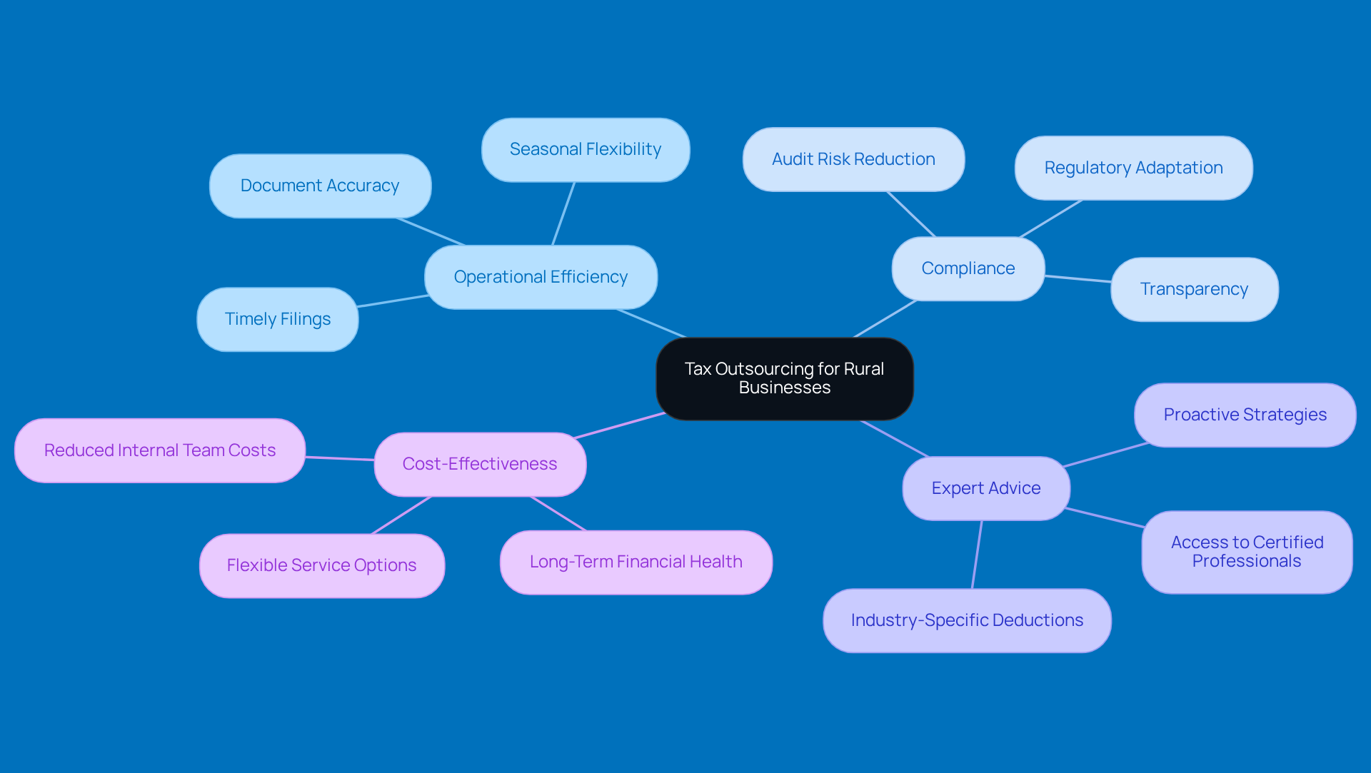 The central node represents the main topic of tax outsourcing. Each branch highlights a key benefit or practice, with sub-branches providing more detail. This layout helps you see how everything connects and why tax outsourcing is valuable for rural enterprises. The central node represents the main topic of tax outsourcing. Each branch highlights a key benefit or practice, with sub-branches providing more detail. This layout helps you see how everything connects and why tax outsourcing is valuable for rural enterprises.