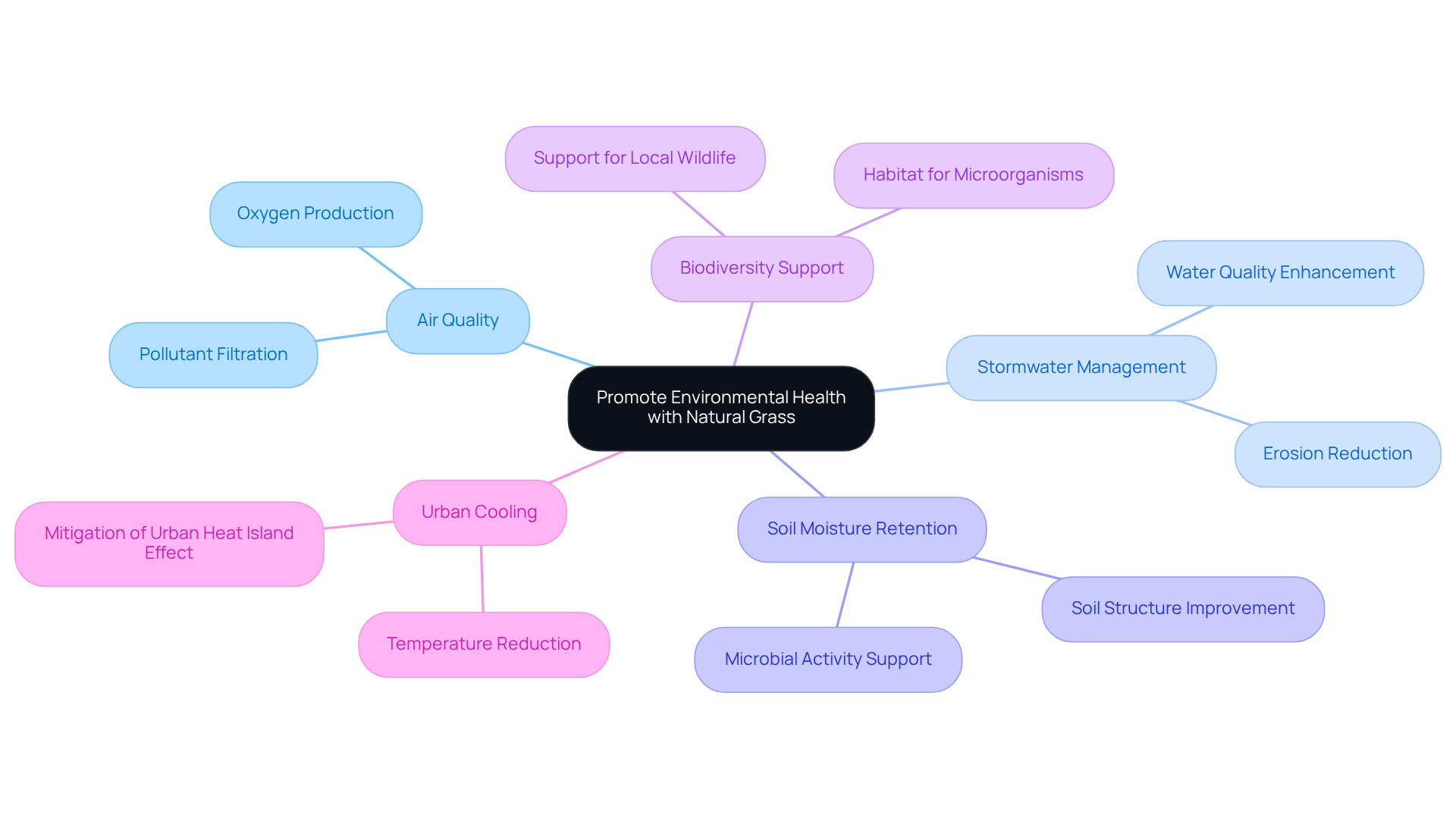 The central idea is about promoting environmental health through natural grass. Each branch represents a key benefit, and the sub-branches provide more details on how grass contributes to that benefit. Follow the branches to see the interconnected ways grass supports a healthier ecosystem. The central idea is about promoting environmental health through natural grass. Each branch represents a key benefit, and the sub-branches provide more details on how grass contributes to that benefit. Follow the branches to see the interconnected ways grass supports a healthier ecosystem.