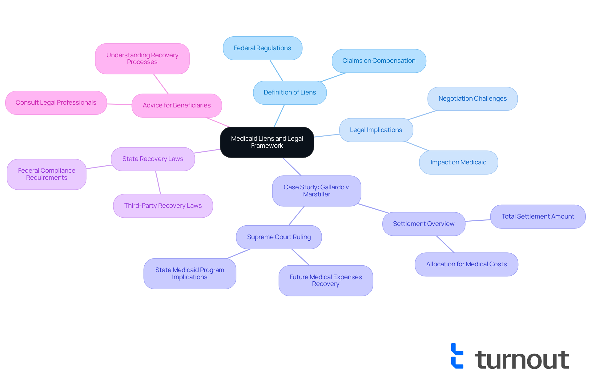The central node represents the main topic, while branches show different aspects of Medicaid liens. Each sub-branch provides more detail, helping you see how everything is connected and what you need to know.