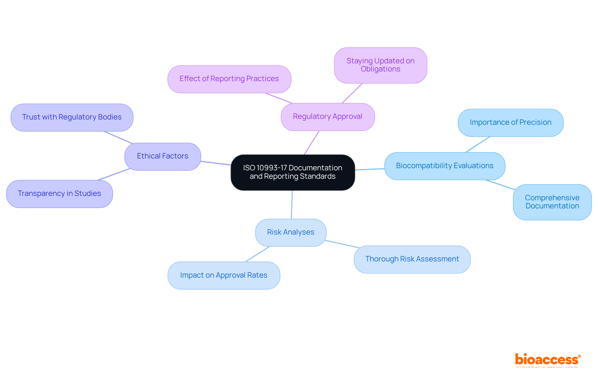 The center node represents the main focus on documentation standards. Each branch shows a key area of concern, with further details branching out from there — follow the lines to see how each aspect contributes to compliance and regulatory success.