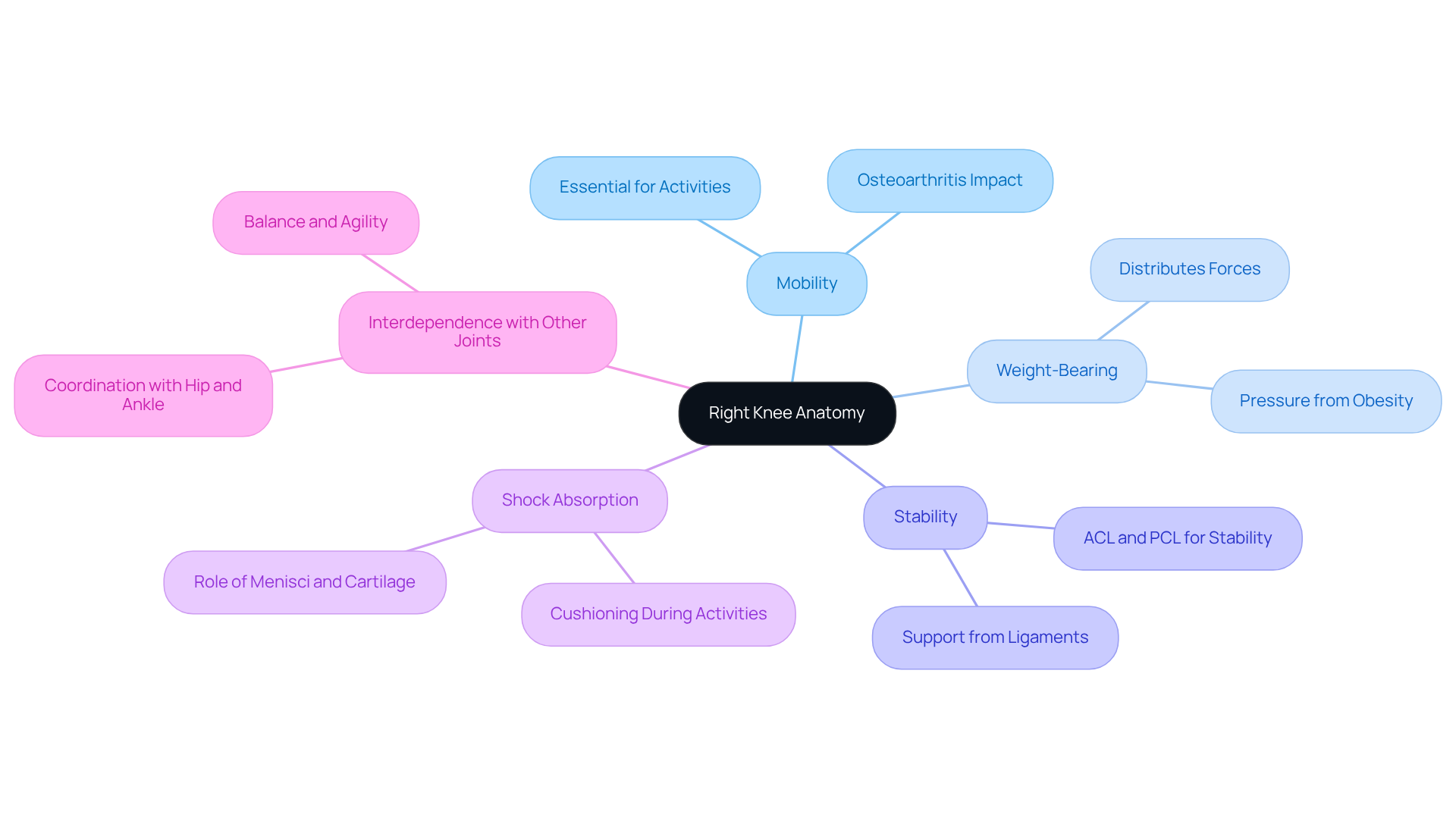 This mindmap illustrates how different aspects of the knee's anatomy contribute to its overall function. Each branch represents a key area of importance, and the sub-branches provide more detail on specific functions and related health issues. Follow the branches to understand how the knee supports your daily activities and overall mobility.
