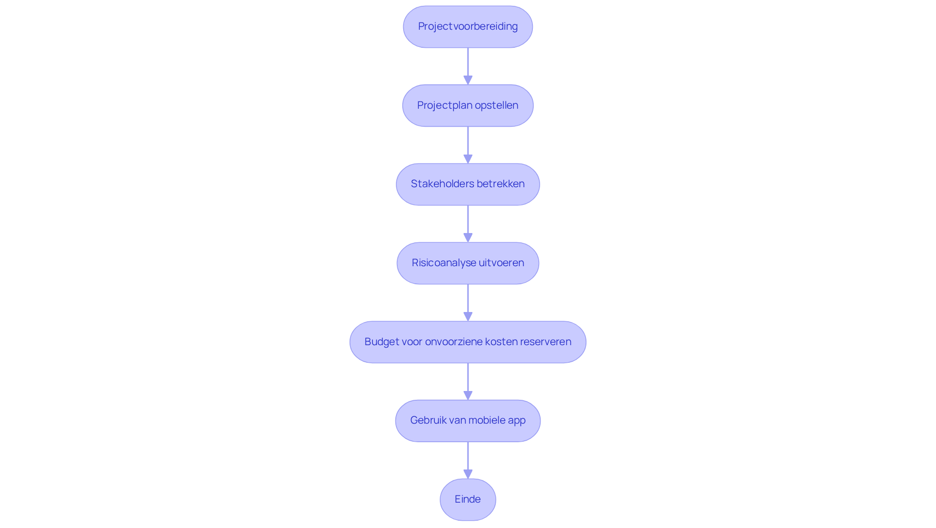 Elke stap in de flowchart vertegenwoordigt een fase in de voorbereiding van het project. Volg de pijlen om te zien hoe elke stap op de vorige volgt en hoe ze samen bijdragen aan een succesvolle projectuitvoering.